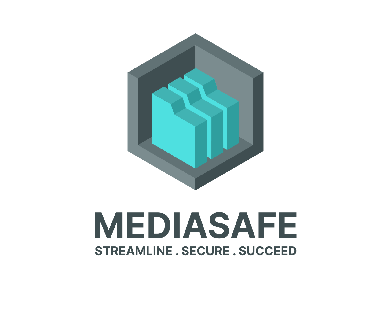 Media Safe